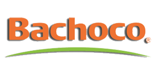 bachoco.png – PIXART 360